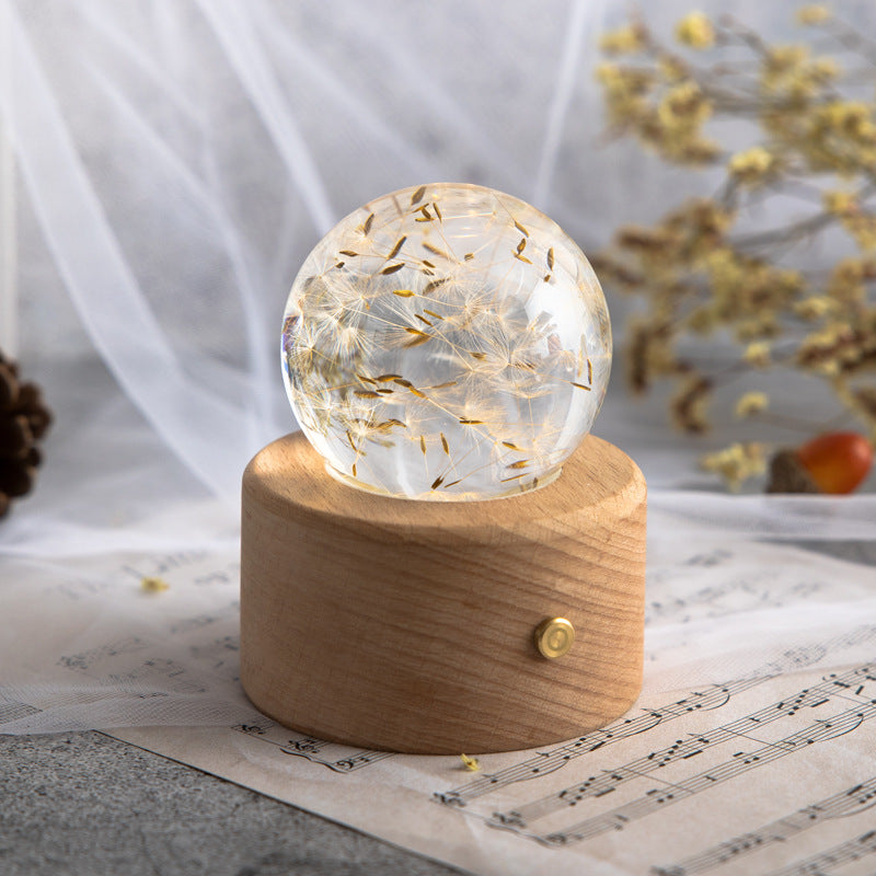 Dandelion Eternal Flower Music Box & Night Light – ASTRID SILK (HONG KONG)